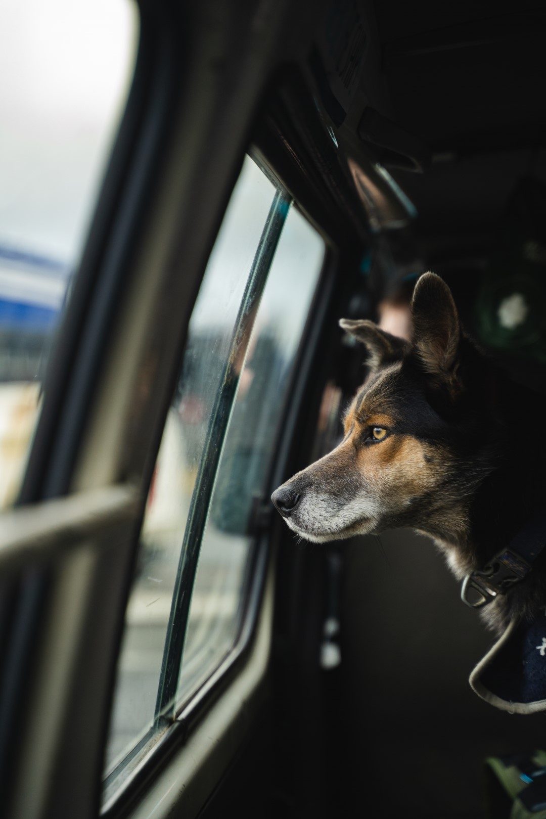 Jake's Adventures in Nydia Bay - Wheelworks