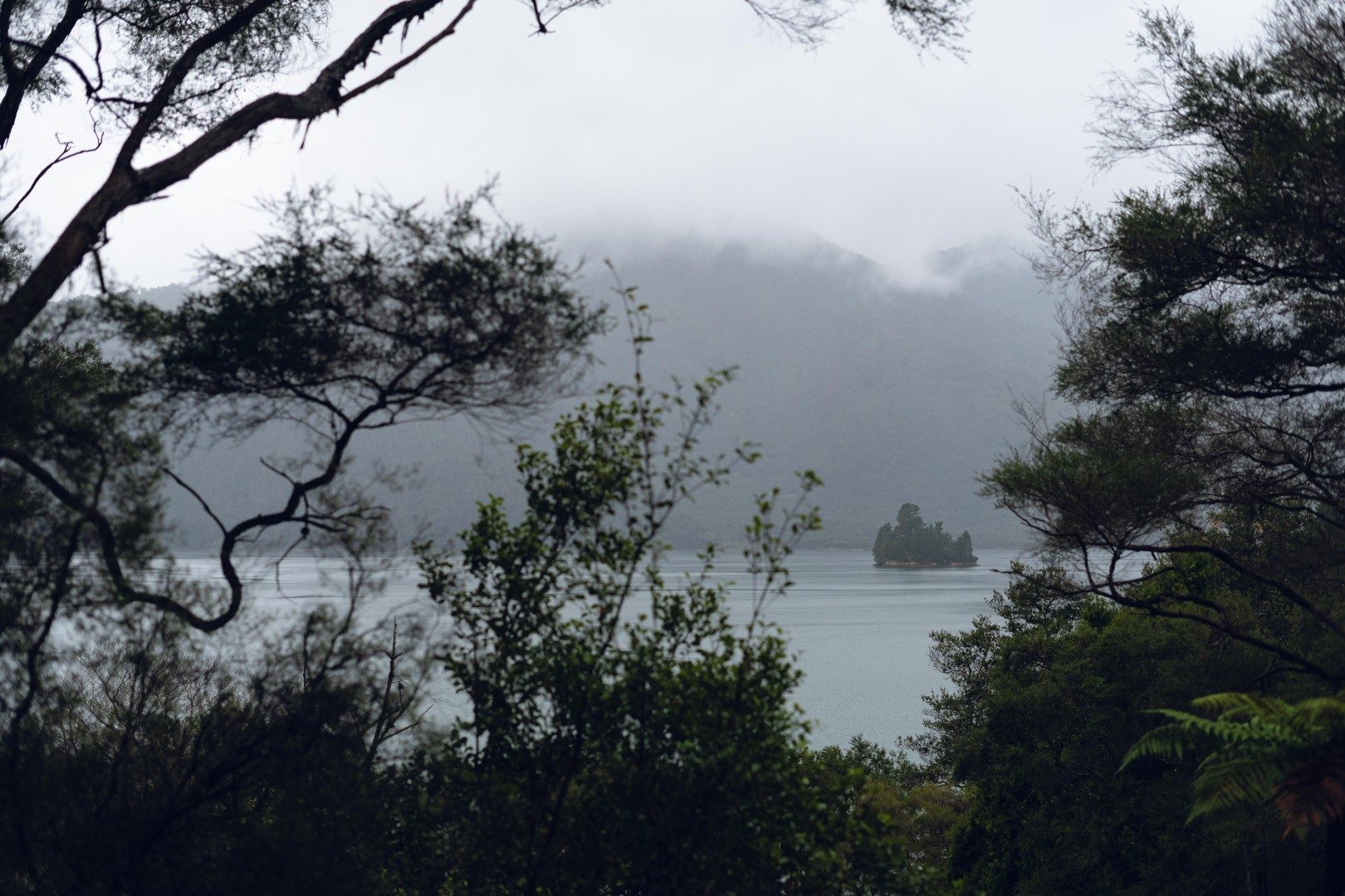 Jake's Adventures in Nydia Bay - Wheelworks